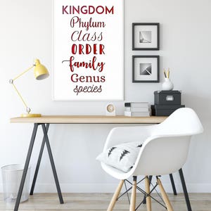 Biology Posters - Set of 4, Taxonomic Ranks, Printable Taxonomy Wall ...