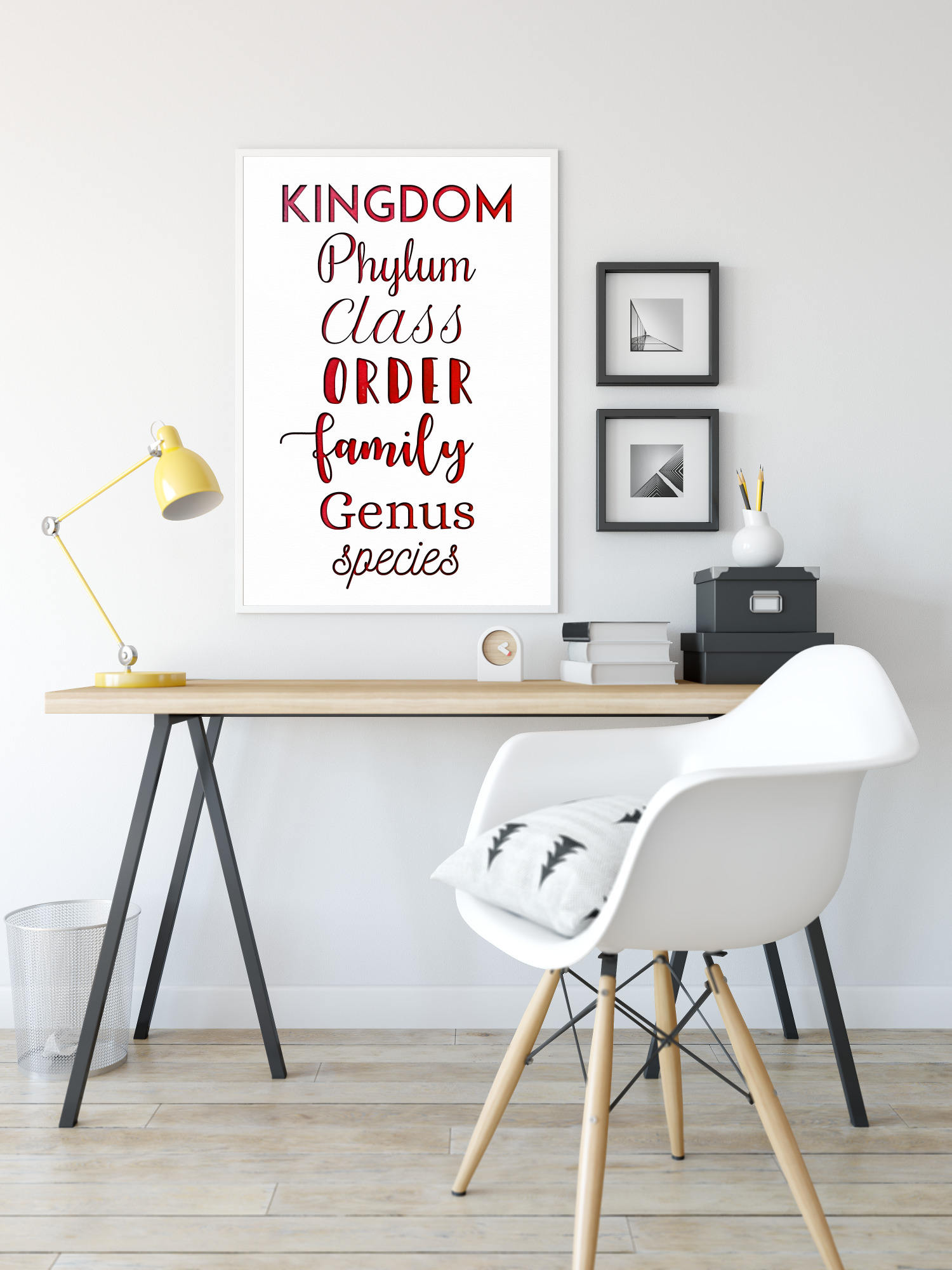 Biology Posters Set of 4 Taxonomic Ranks Printable - Etsy