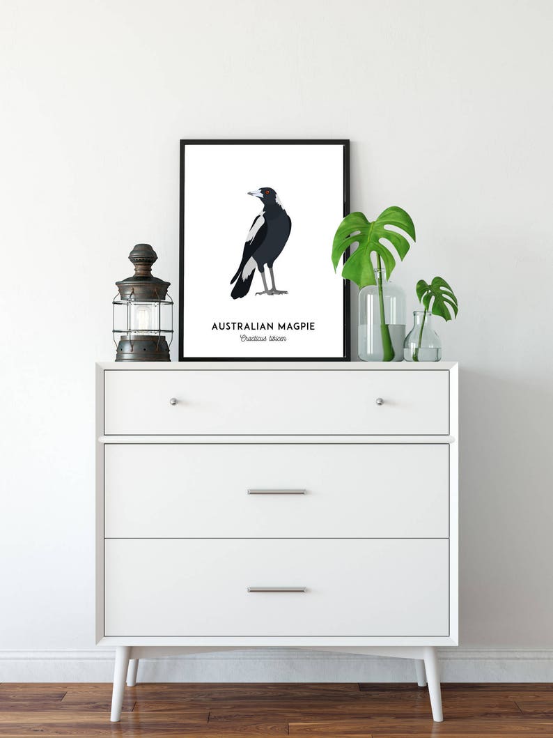 Magpie Print Magpie Art Magpie Poster Magpie Wall Art - Etsy Australia