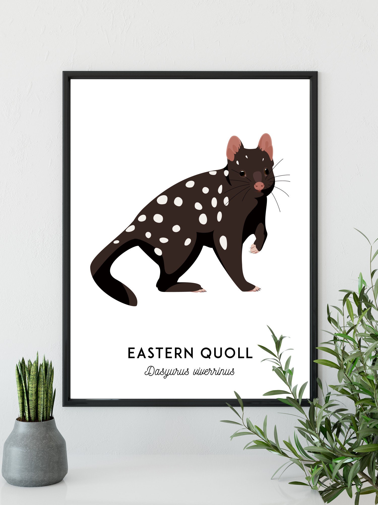 Quoll Print Printable Animal Art Australian Native | Etsy