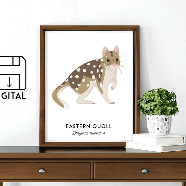 Quoll - Etsy