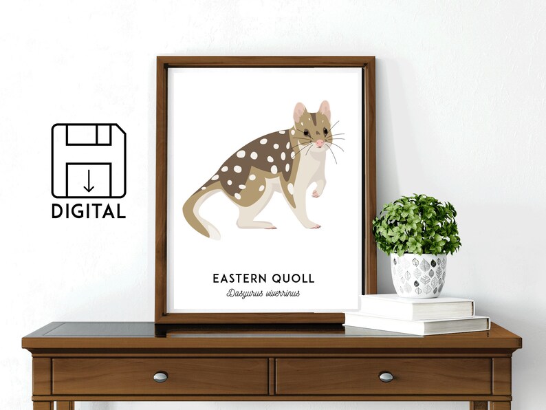 Quoll Print Printable Animal Art Australian Native - Etsy Australia