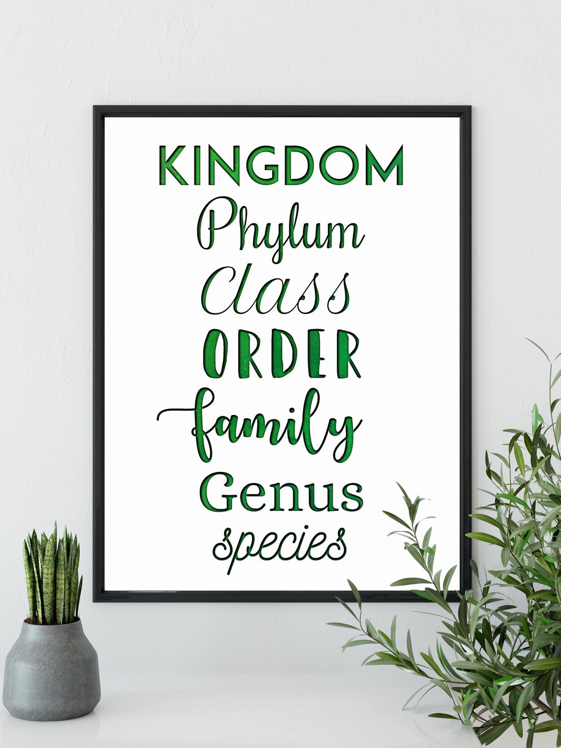 Biology Posters Set of 4 Taxonomic Ranks Printable - Etsy