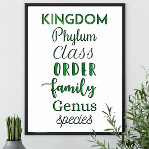 Biology Posters - Set of 4, Taxonomic Ranks, Printable Taxonomy Wall ...