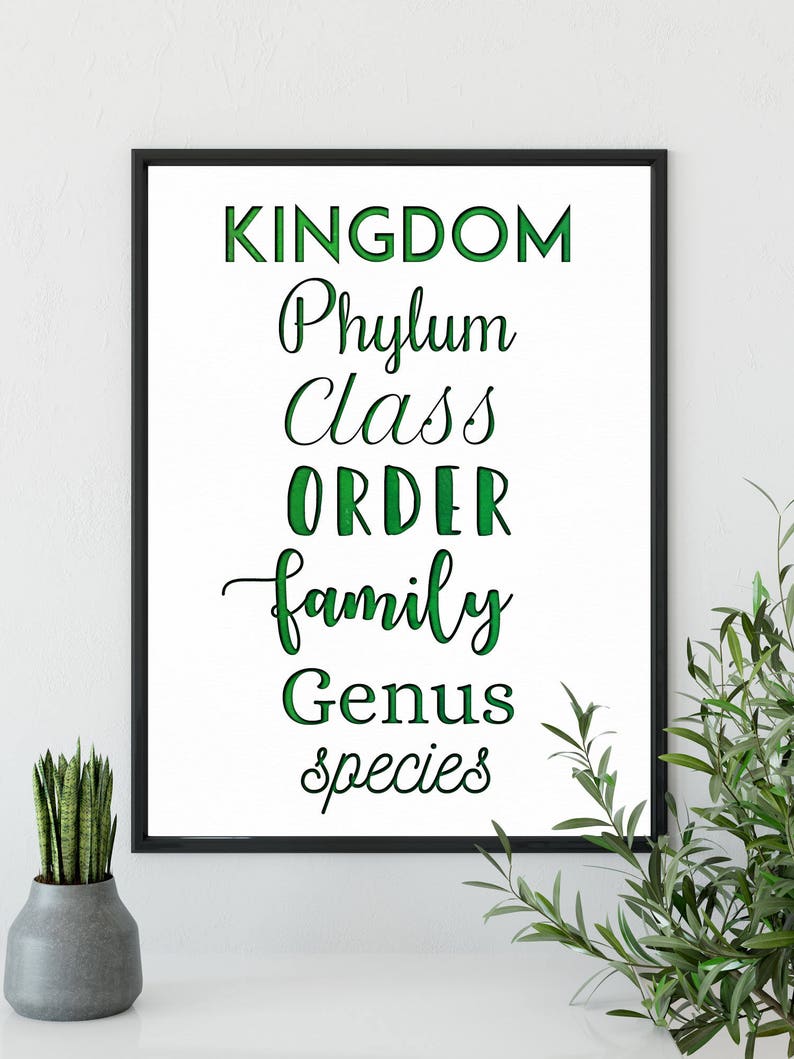 Biology Posters Set of 4 Taxonomic Ranks Printable - Etsy