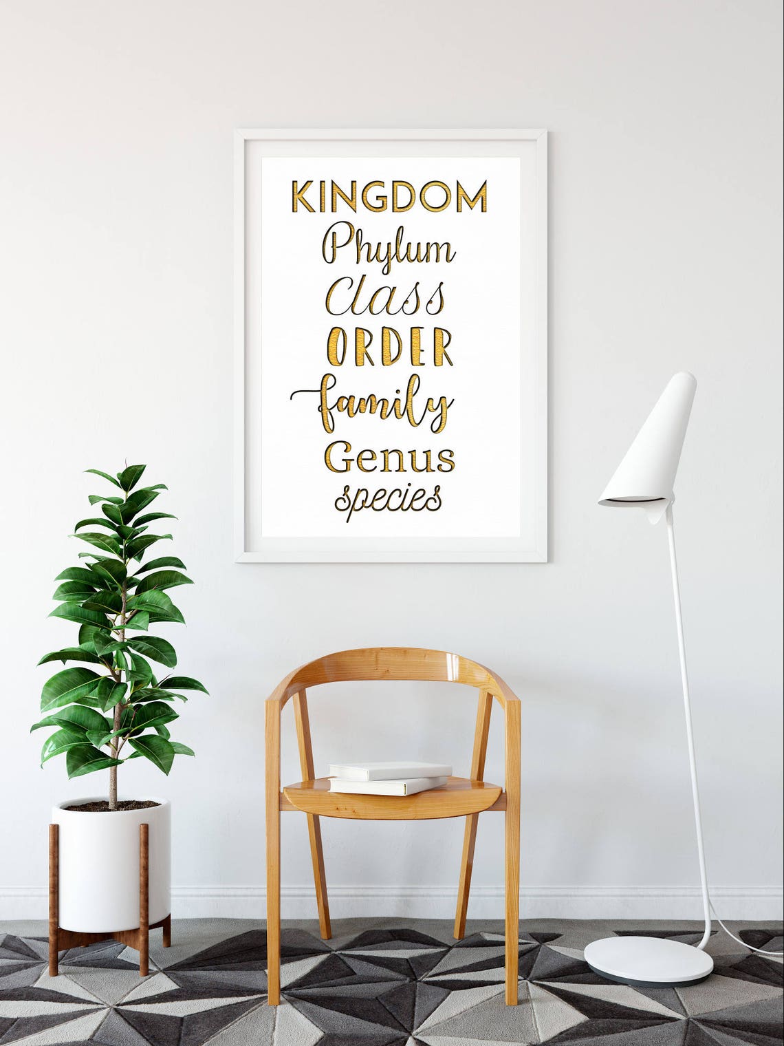 Biology Posters Set of 4 Taxonomic Ranks Printable - Etsy