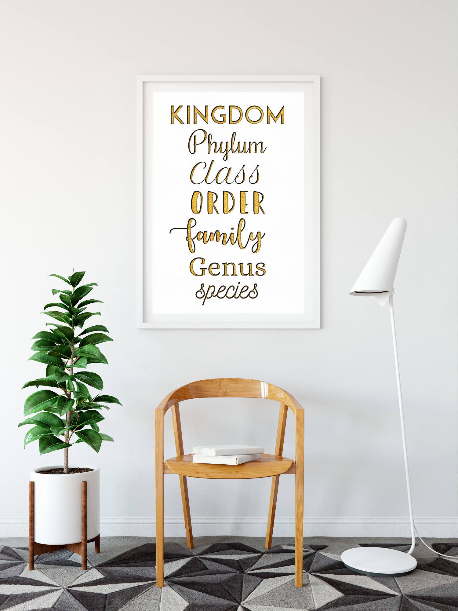 Biology Posters Set of 4 Taxonomic Ranks Printable - Etsy