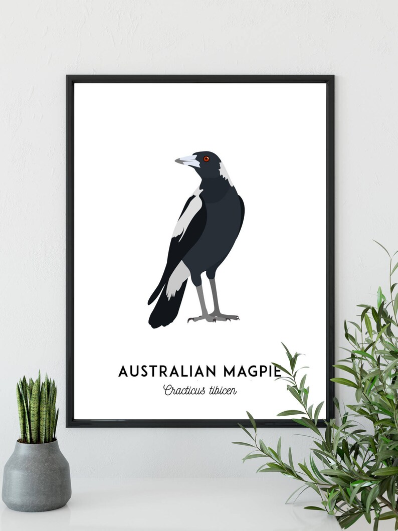 Magpie Print, Magpie Art, Magpie Poster, Magpie Wall Art, Australian ...