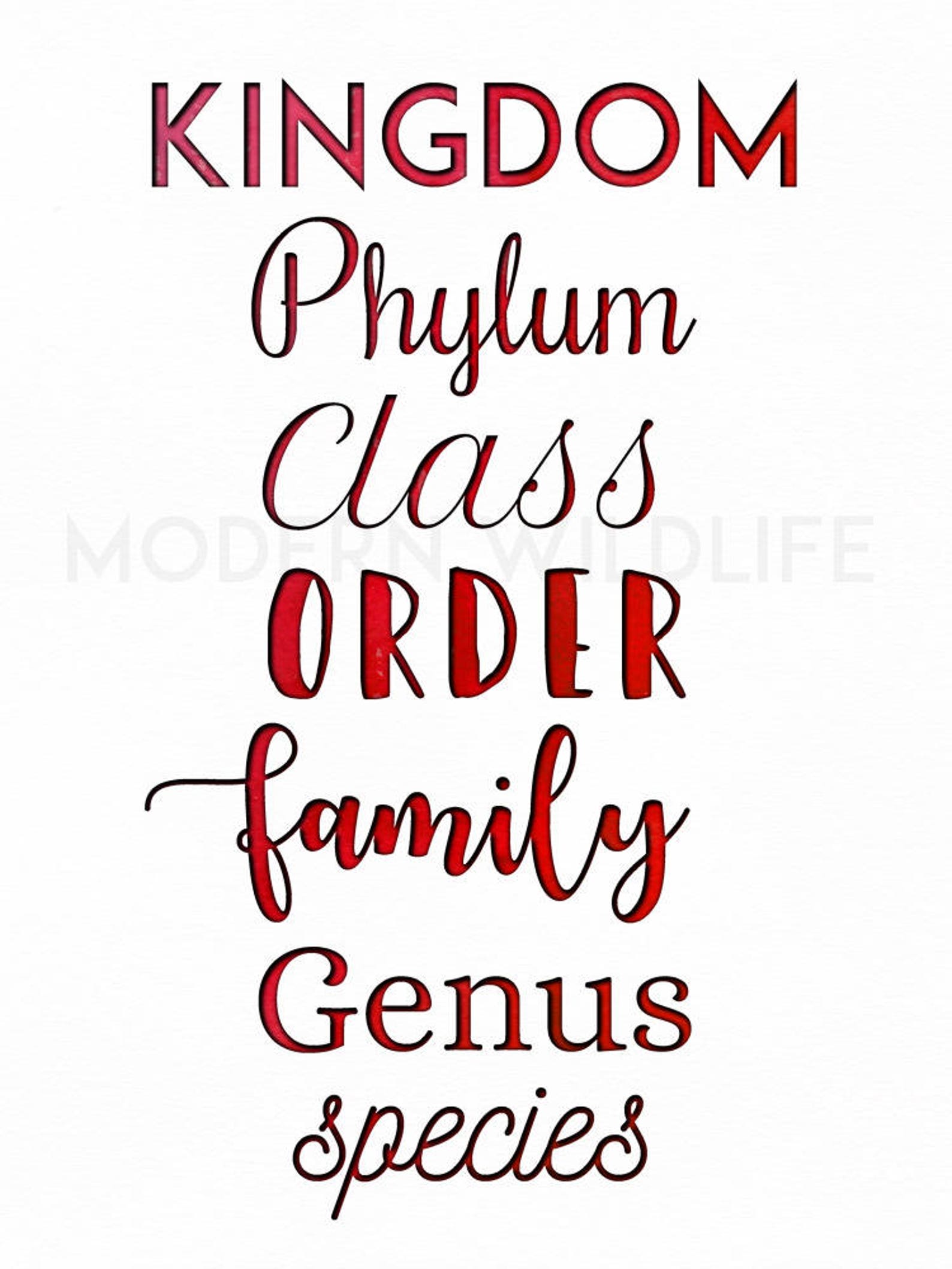 Biology Posters - Set of 4, Taxonomic Ranks, Printable Taxonomy Wall ...