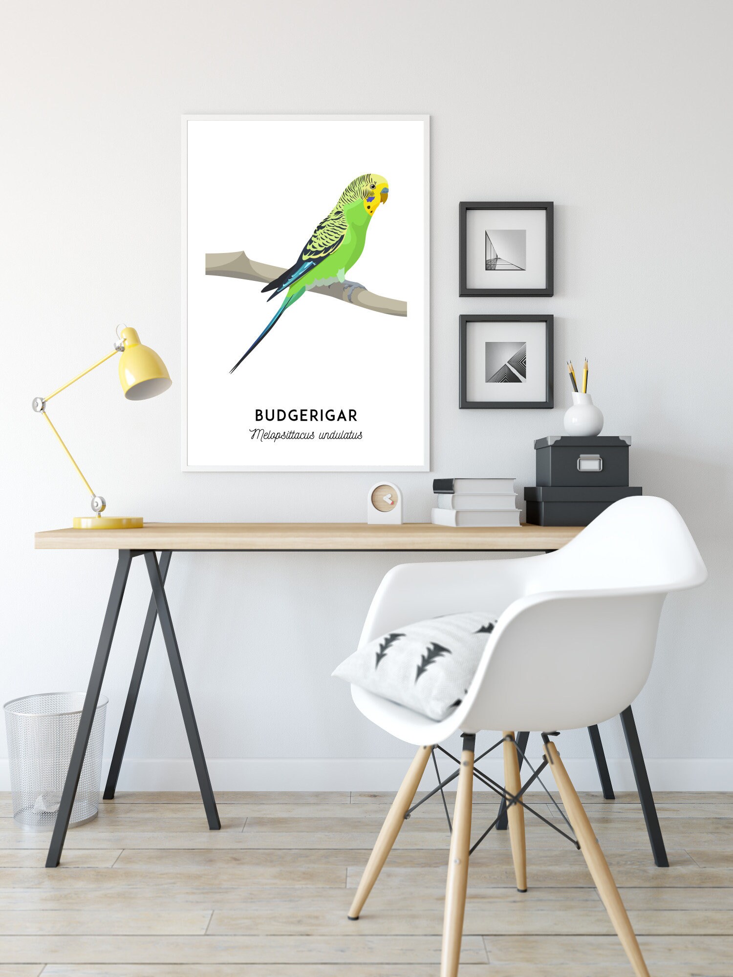 Budgie Poster, Budgerigar, Bird Print, Animal Print, Australian Native ...