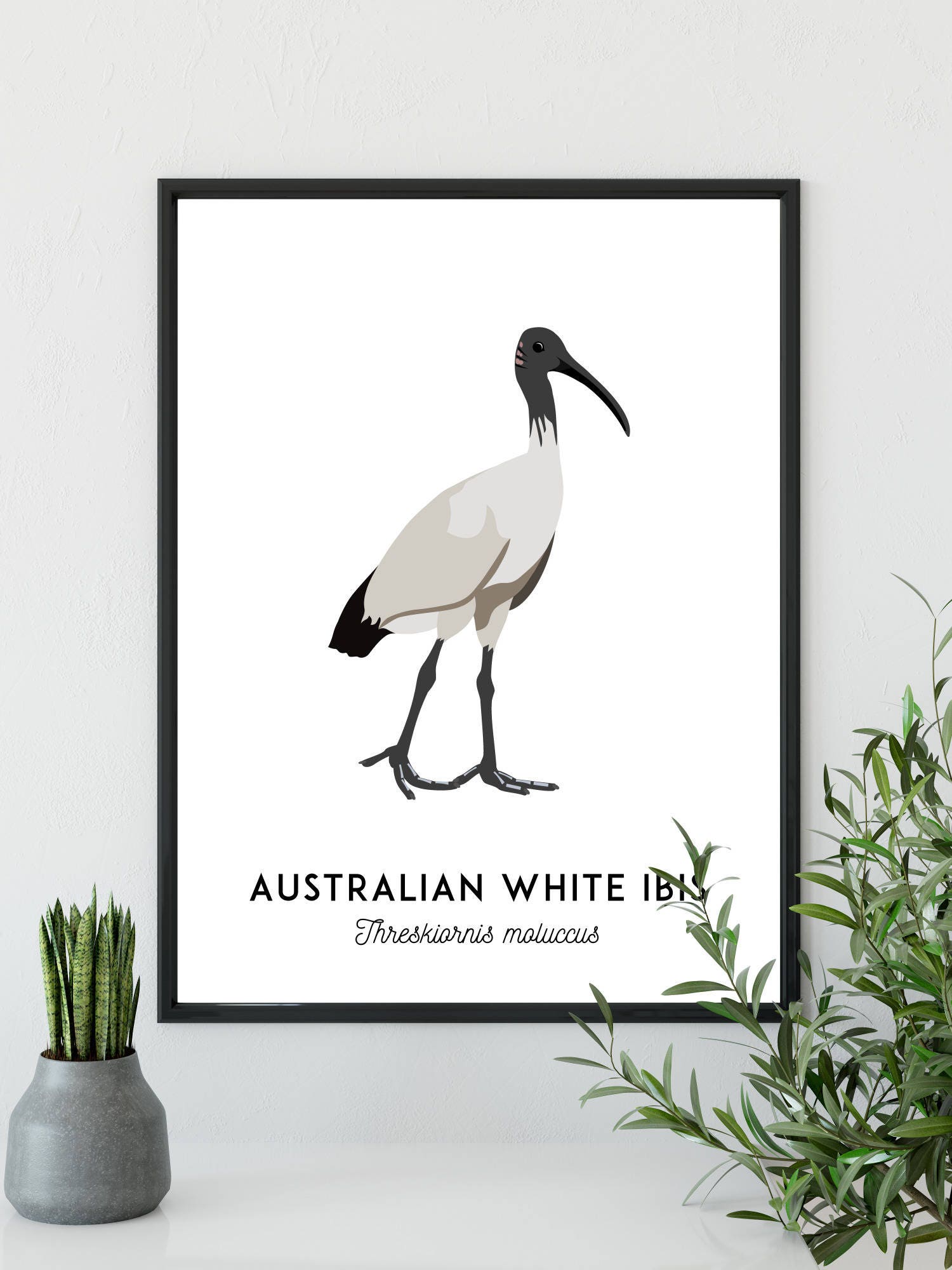 White Ibis Print Printable Bird Print Animal Poster - Etsy