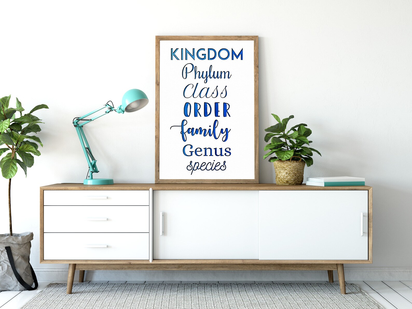 Biology Posters - Set of 4, Taxonomic Ranks, Printable Taxonomy Wall ...