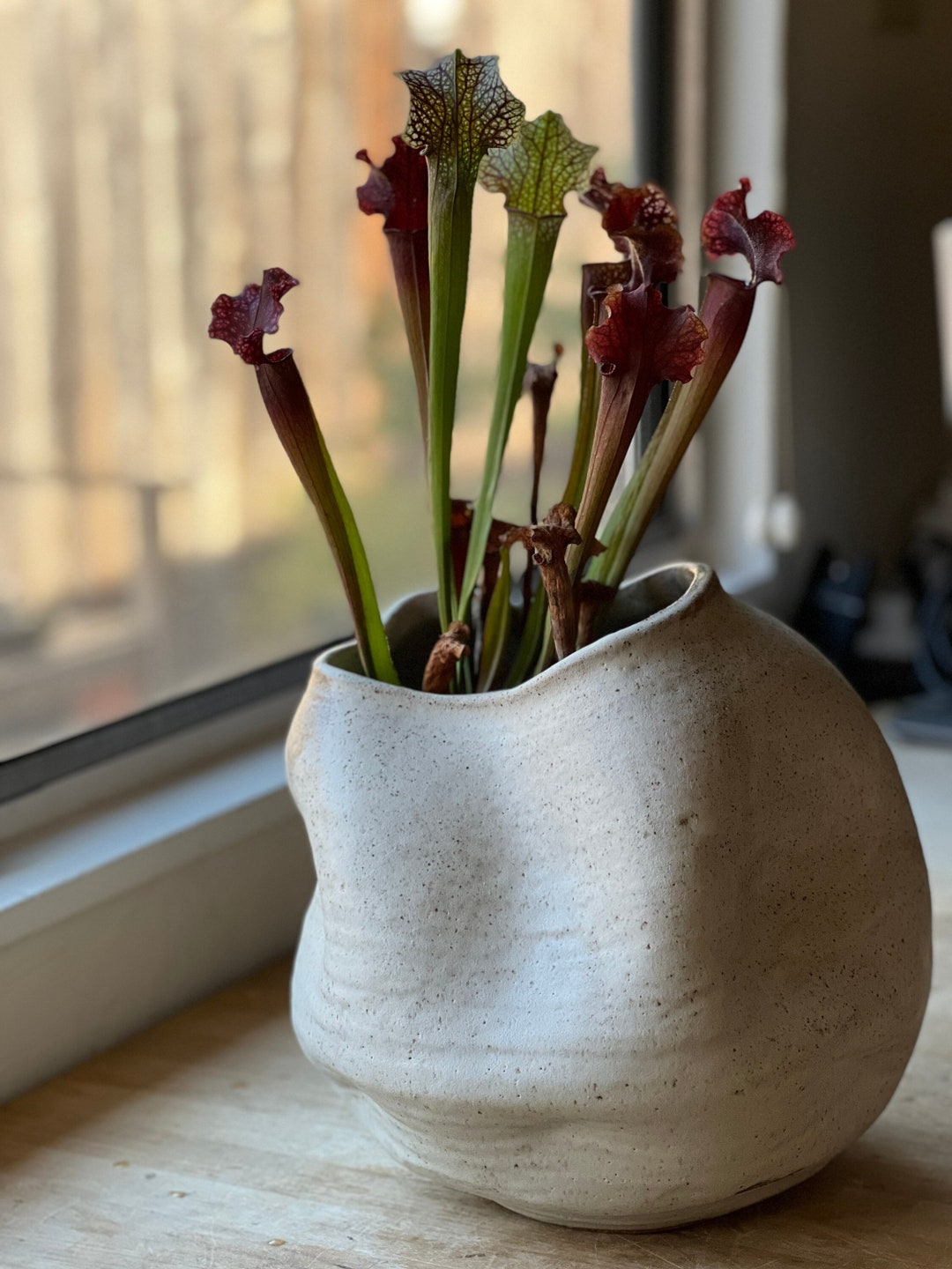 Irregular Stoneware Speckled Moon Jar - Etsy