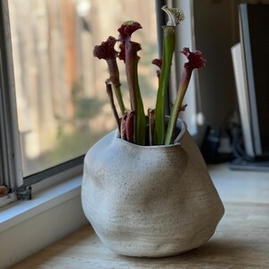 Irregular Stoneware Speckled Moon Jar - Etsy