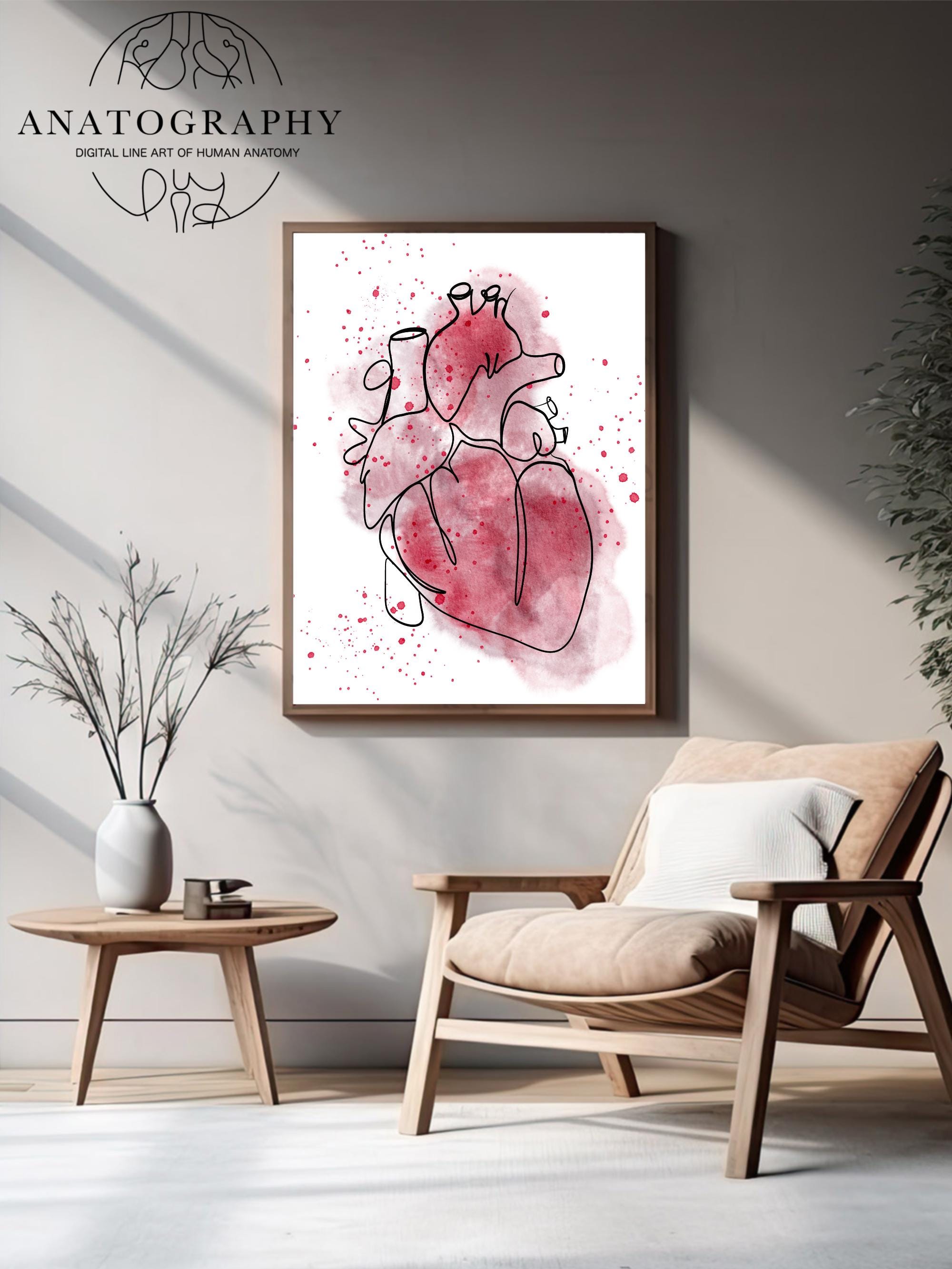 Heart Anatomy Artwork | Medical Wall Art | Line Art Posters | Digital ...