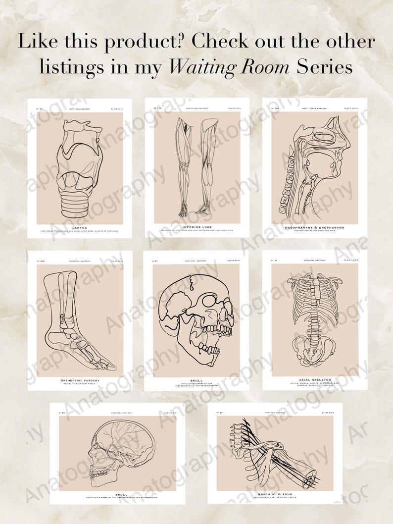 Anatomy Art Print - Foramina of Skull Base Superior View | 18x24 ...