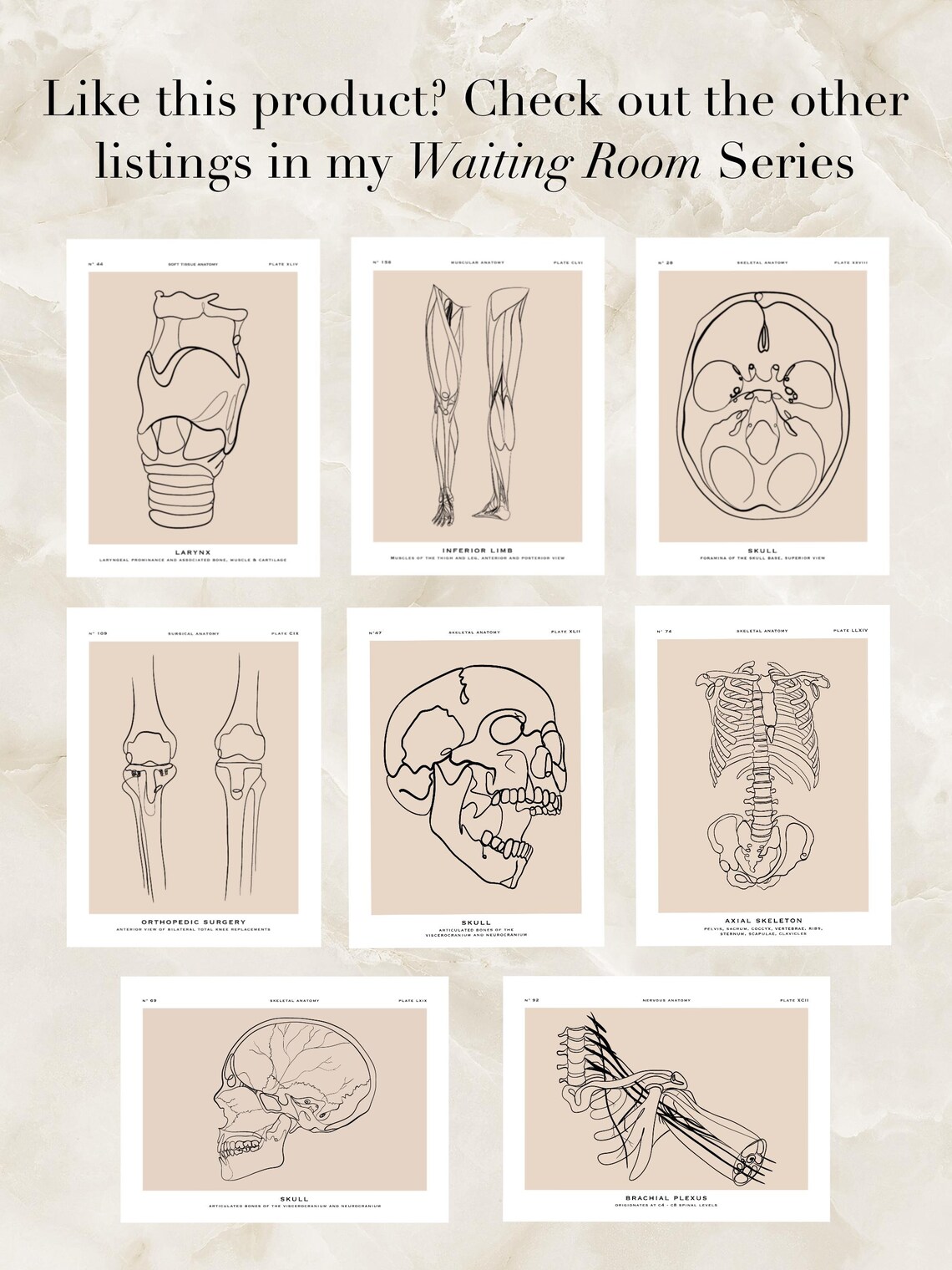 Orthopedic Surgery Anatomy Print | 18x24 Digital Poster of Medial Left ...