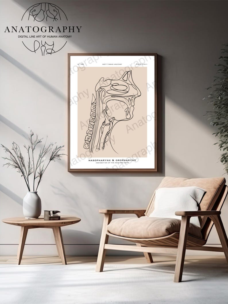 Nasopharynx & Oropharynx Anatomy Print | 18x24 Digital Medical Poster ...
