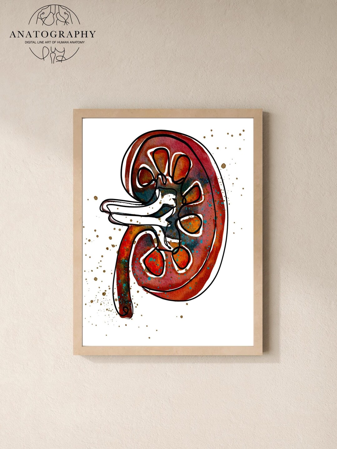 Kidney Anatomy Artwork | Medical Wall Pictures | Watercolor Abstract ...