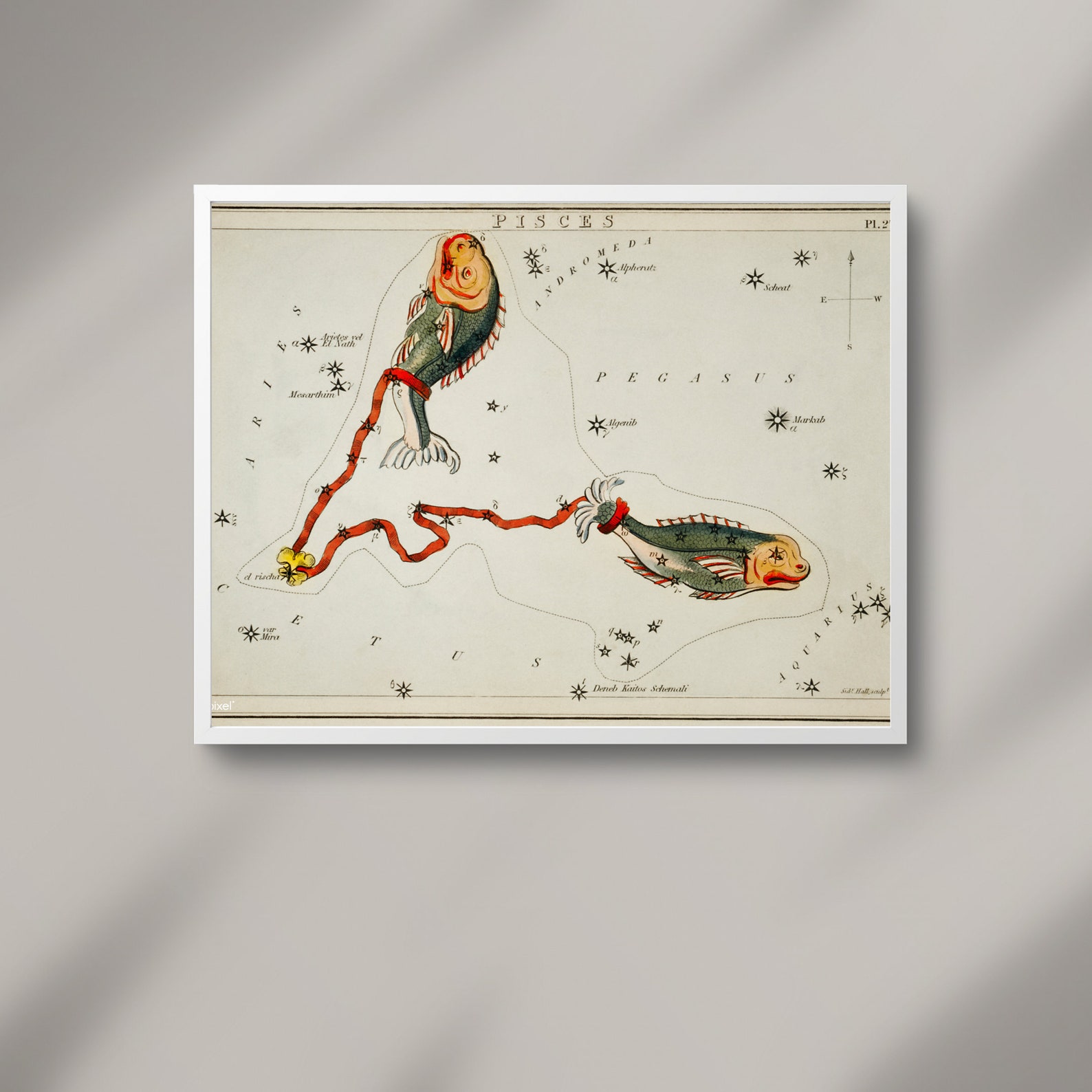 100 Ancient Astrological Digital Downloads Bulk Falero Fairy Zodiac ...