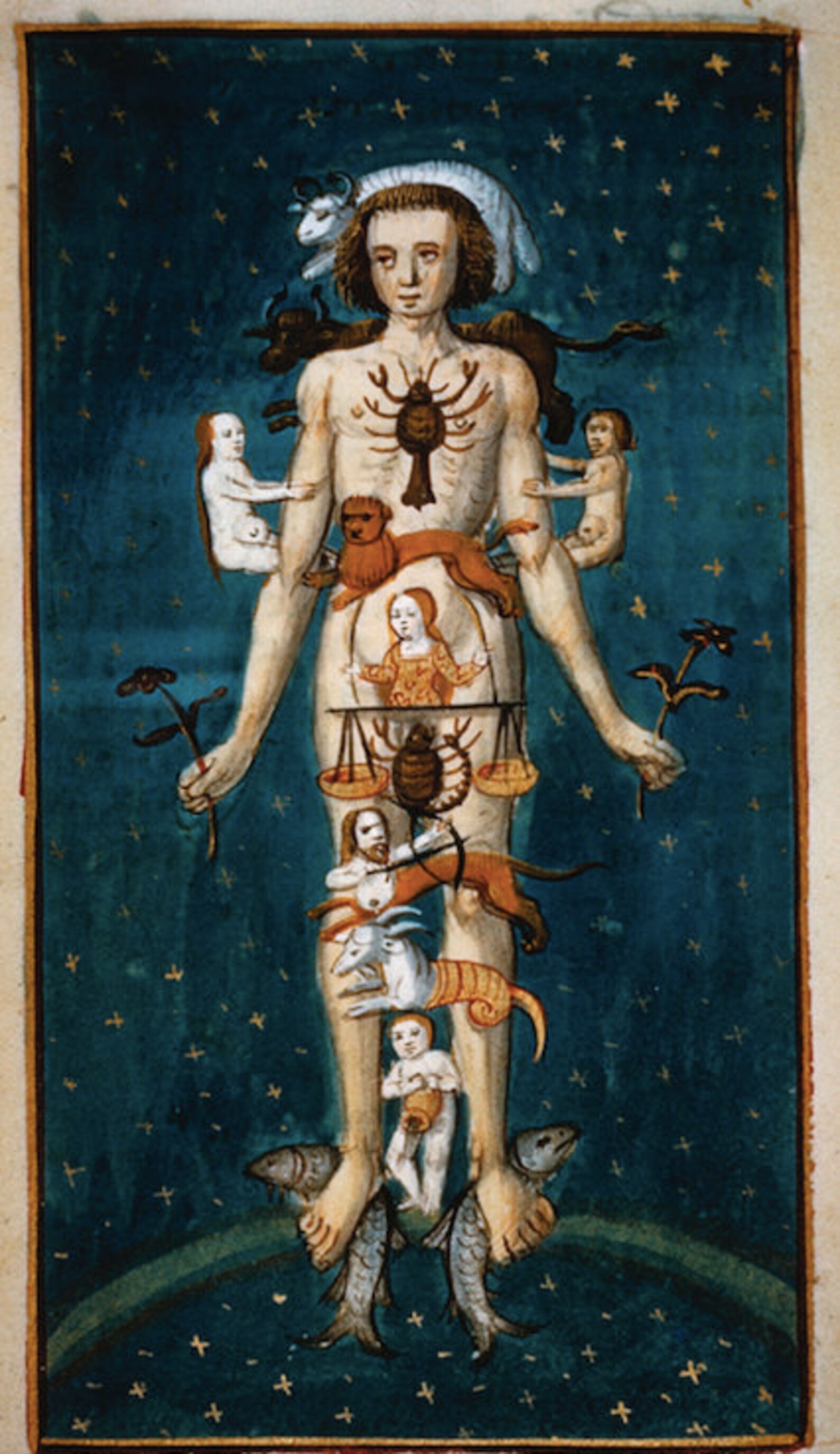 100 Ancient Astrological Digital Downloads Bulk Falero Fairy Zodiac ...