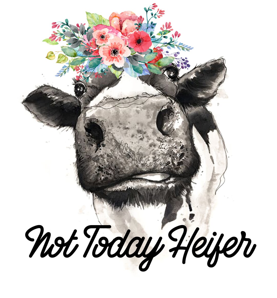 Not Today Heifer - Etsy