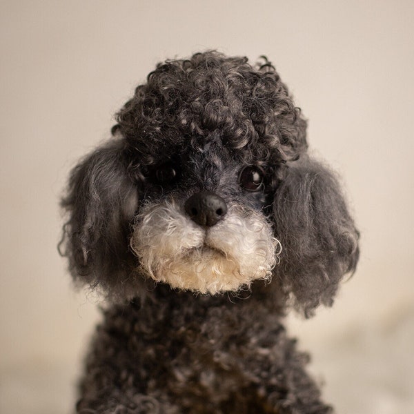 Realistic Dog Puppet - Etsy