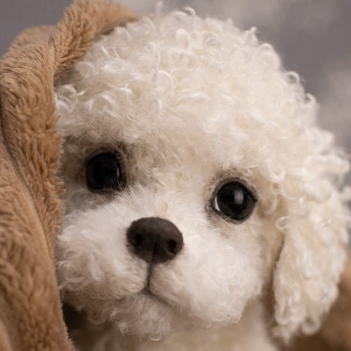 Puppy Michelle Realistic Toy made to Order Poodle Dog Toy - Etsy
