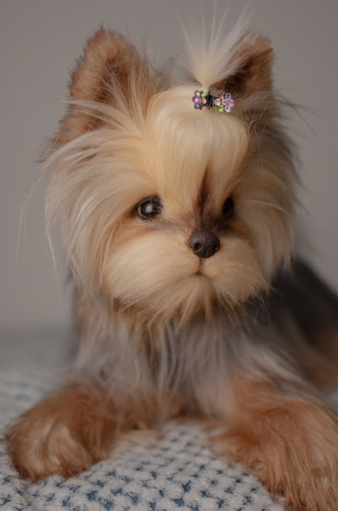 Puppy Jessica Yorkies Yorkshire Terrier, York Toy, Toy, Little York ...