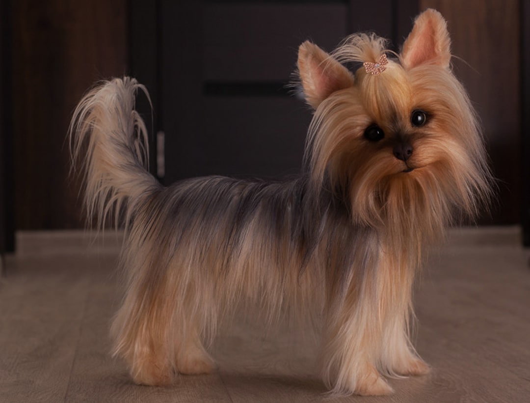 Puppy Lily Yorkies Replica made to Order Yorkshire Terrier, York Toy ...