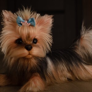 Puppy Lory Yorkies made to Order Yorkshire Terrier, York Toy, Toy ...