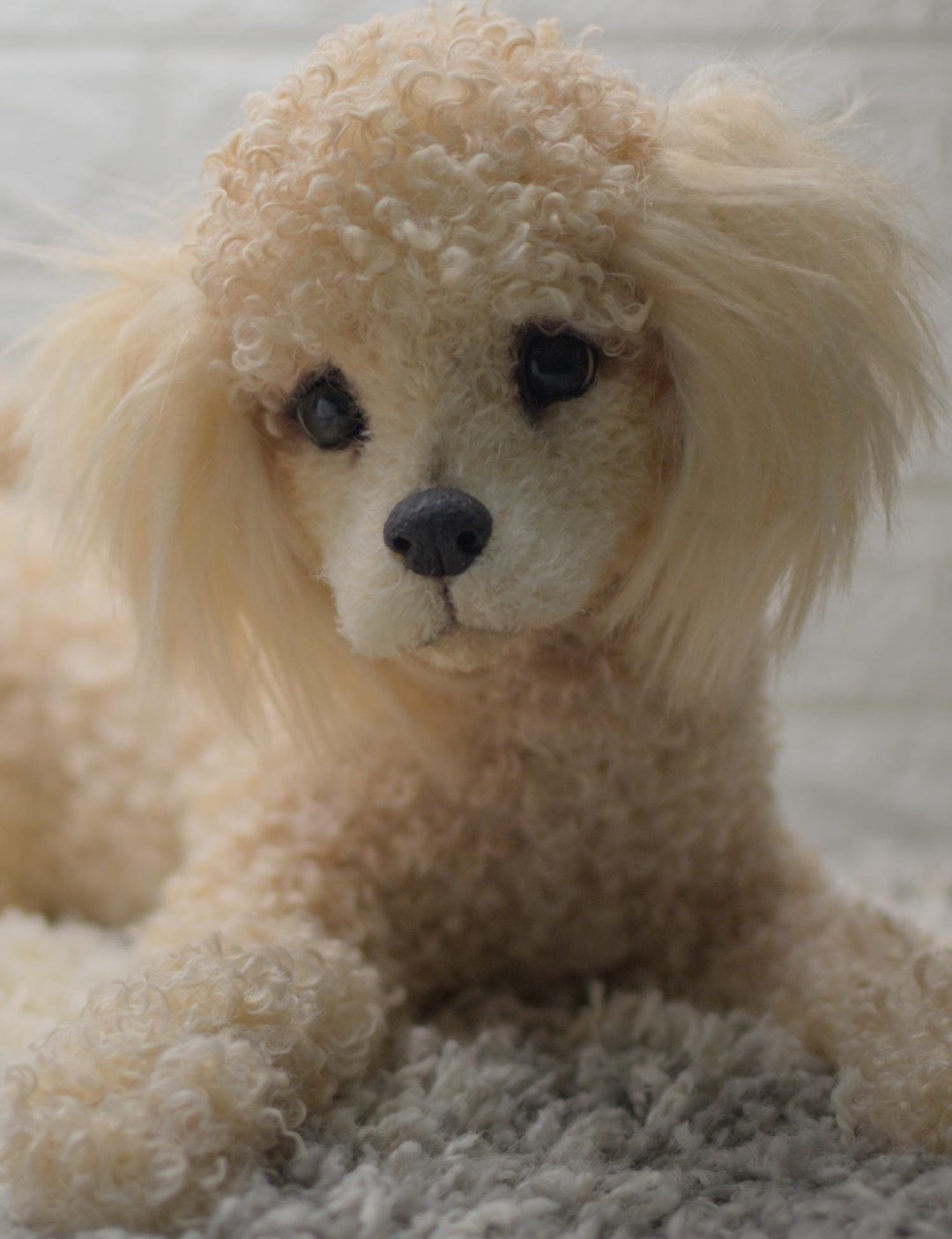 Poodle Apricot made to Order Realistic Toy Dog, Replica Poodle Dog ...