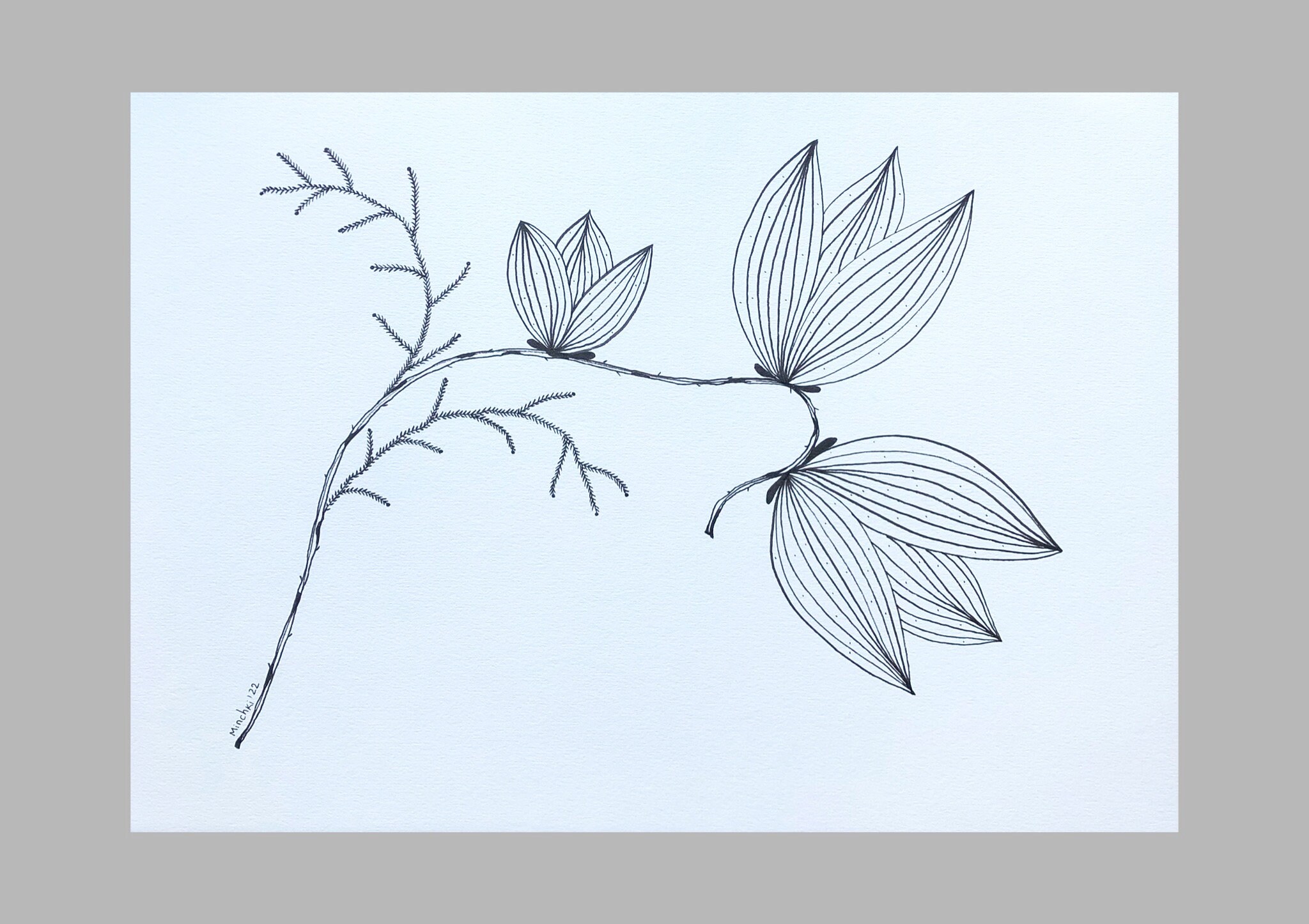 A3 Botanical Ink Pen Drawing, Flowers, Black Ink, Line Art, Gift ...
