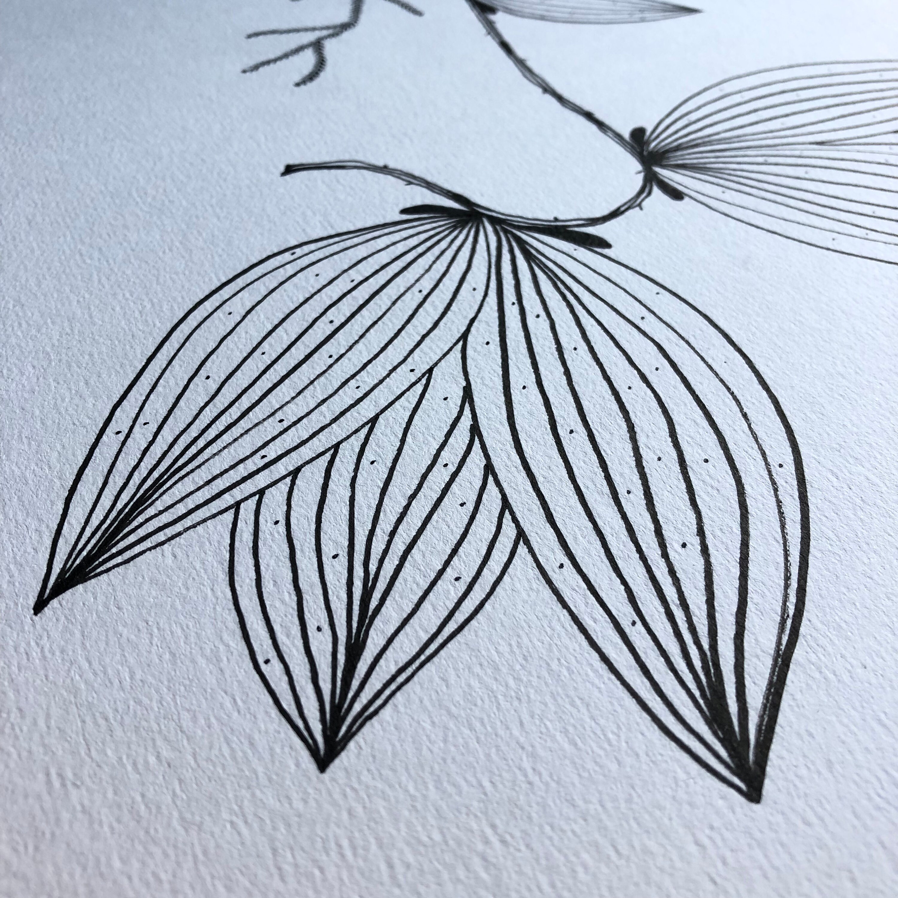 A3 Botanical Ink Pen Drawing, Flowers, Black Ink, Line Art, Gift ...