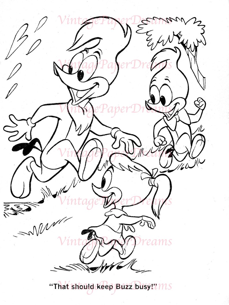 Vintage Adult Coloring Book Printable PDF woody the Woodpecker ...