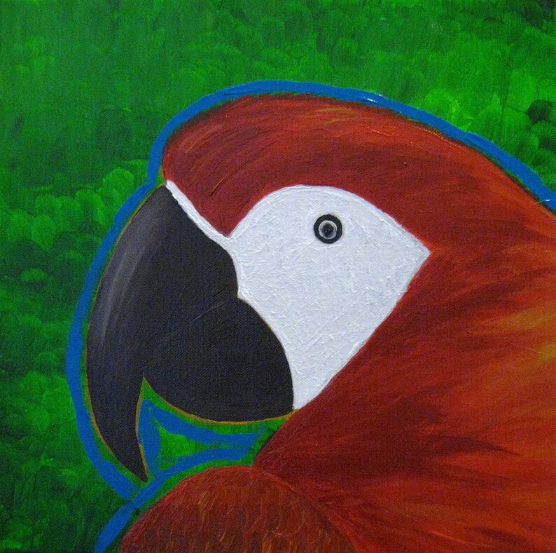 Parrot Painting Original Whimsical Canvas Acrylic Bird Tropical 12x12 ...