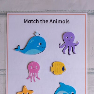 Educational Activity, Visual Discrimination Matching Game, Homeschool ...