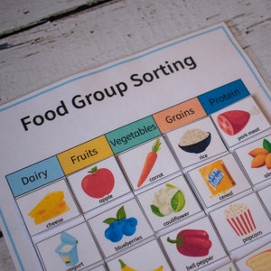 Food Groups Sorting Worksheet, Busy Book Printable, Homeschool Activity ...