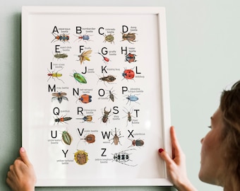 Insect Alphabet Chart Art Print - Etsy Canada
