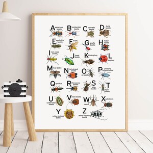 Beetles Alphabet Poster, ABC Wall Art, Insects Print for Nursery ...