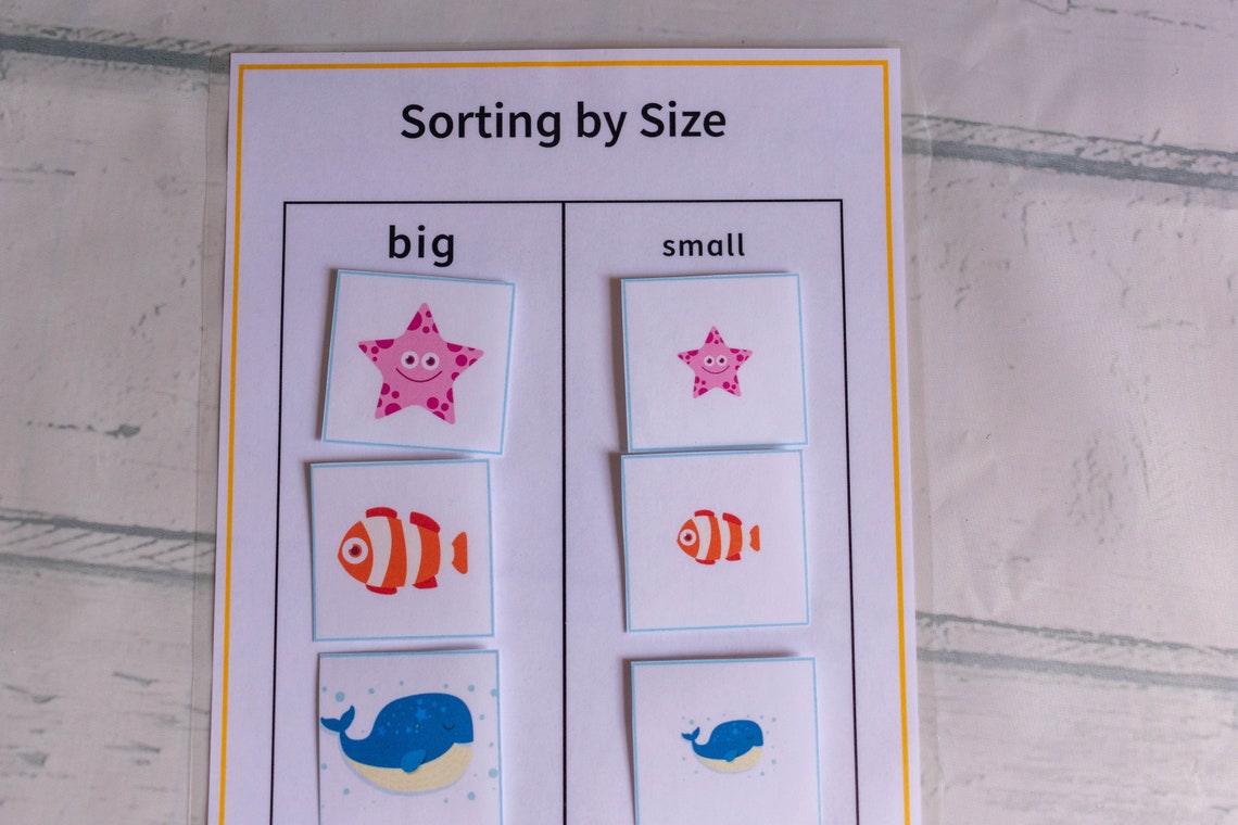Educational Activity Sorting by Size Homeschool Printable | Etsy