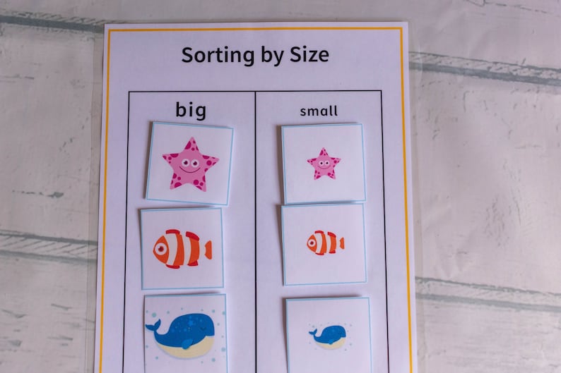 Educational Activity Sorting by Size Homeschool Printable - Etsy