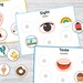 Five Senses Sorting Activity for Homeschool & Preschoolers, Printable ...