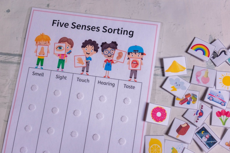 Five Senses Sorting Activity Homeschool Educational - Etsy