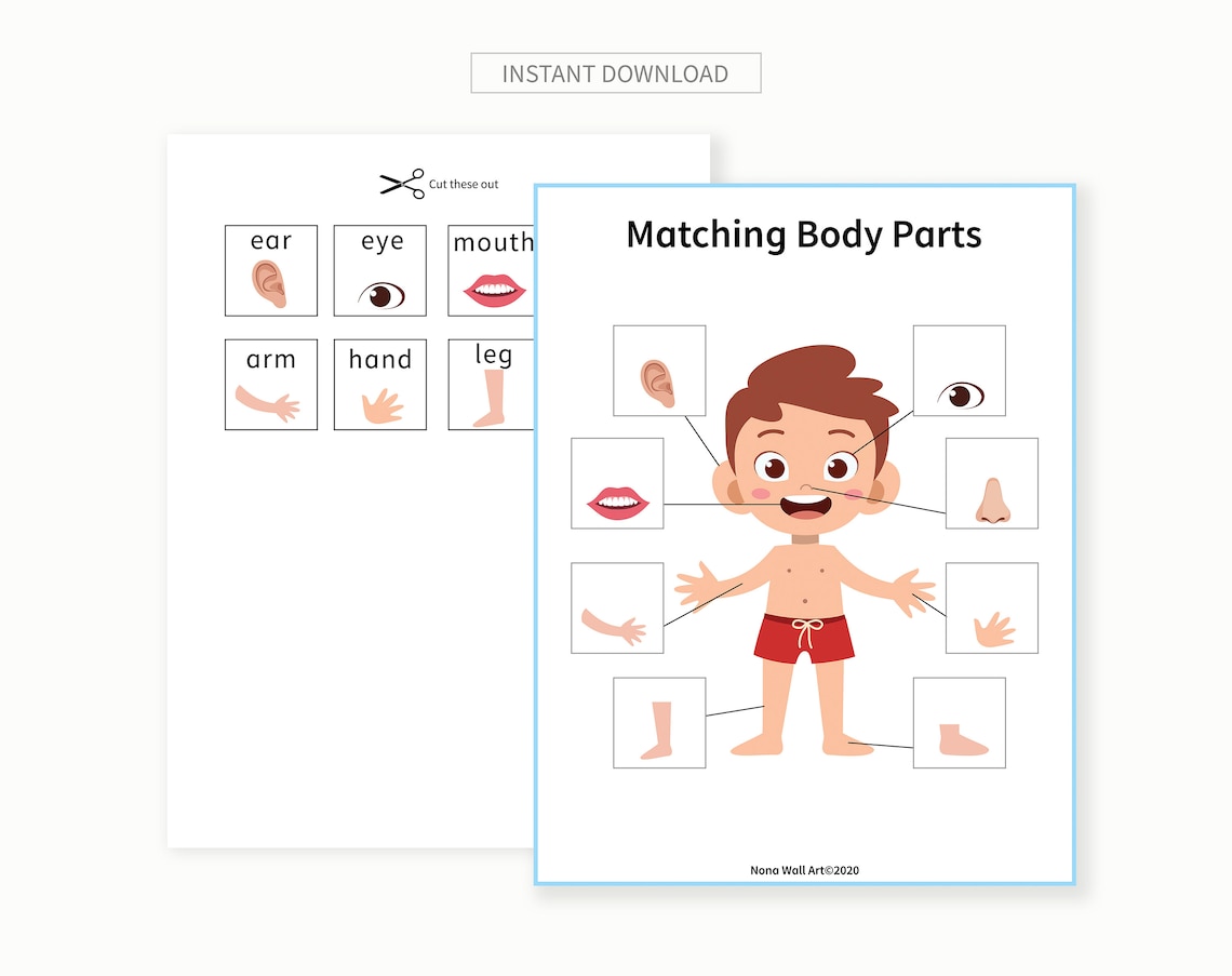 Body Parts Matching Game: Homeschool Learning Activity (digital File ...