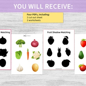 Fruit & Vegetable Matching Activity, Visual Discrimination for ...
