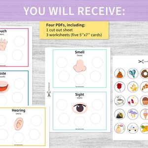 Five Senses Sorting Activity for Homeschool & Preschoolers, Printable ...