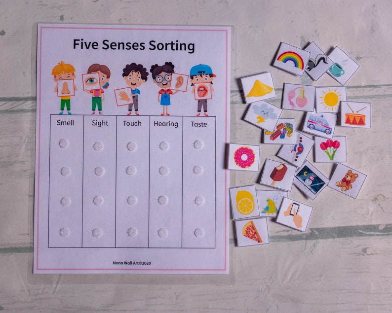 Five Senses Sorting Game: Homeschool Learning Activity (digital File ...