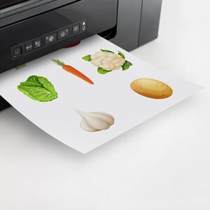 Fruit & Vegetable Matching Activity, Visual Discrimination for ...