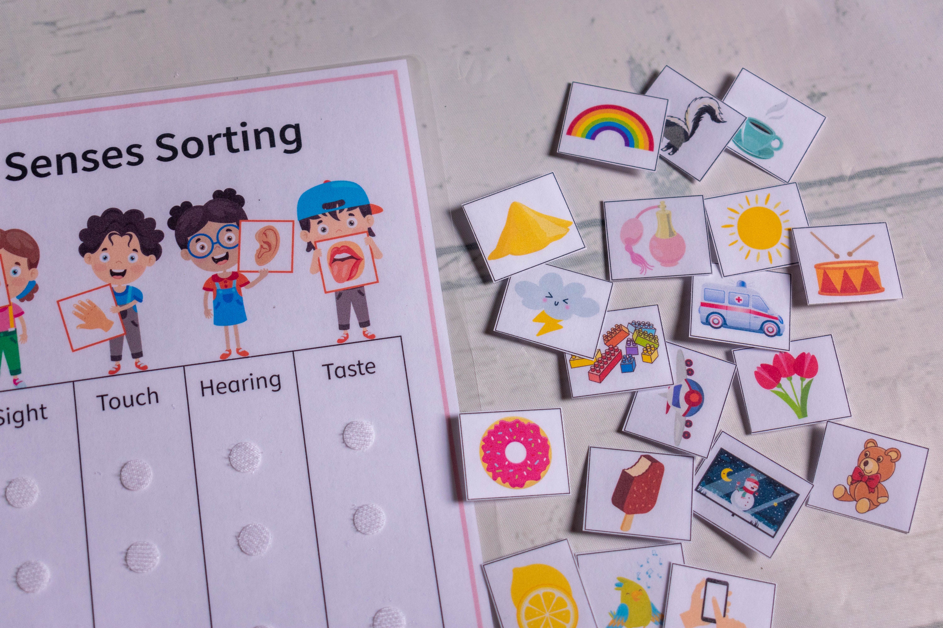 Five Senses Sorting Activity Homeschool Educational - Etsy UK